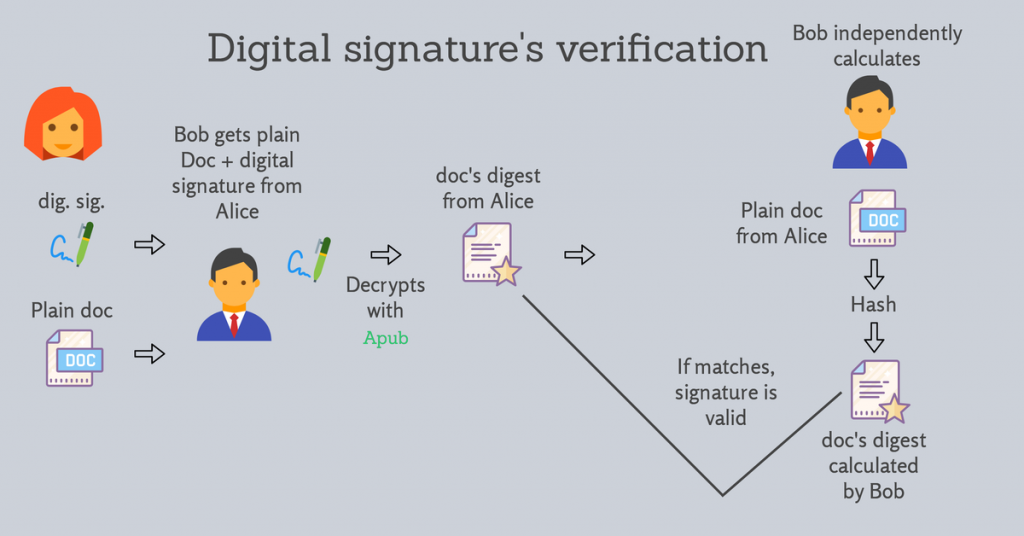 How Digital Signature Works Bitcoin Freedom Massimo Musumeci